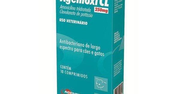 ANTIBIÓTICO AGENER UNIÃO AGEMOXI CL 10 COMPRIMIDOS - 250MG CÃES E GATOS